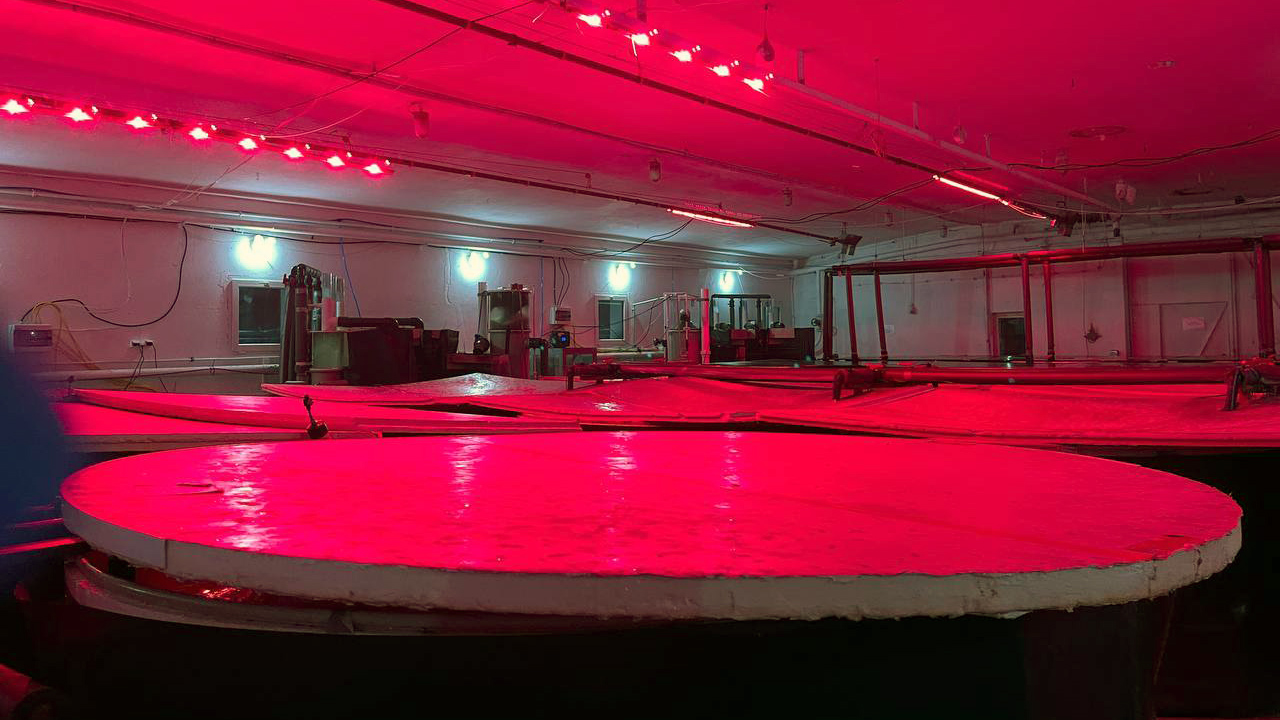 Budoucnost moderního zemědělství 2024 – globální expanze, inovace a ...